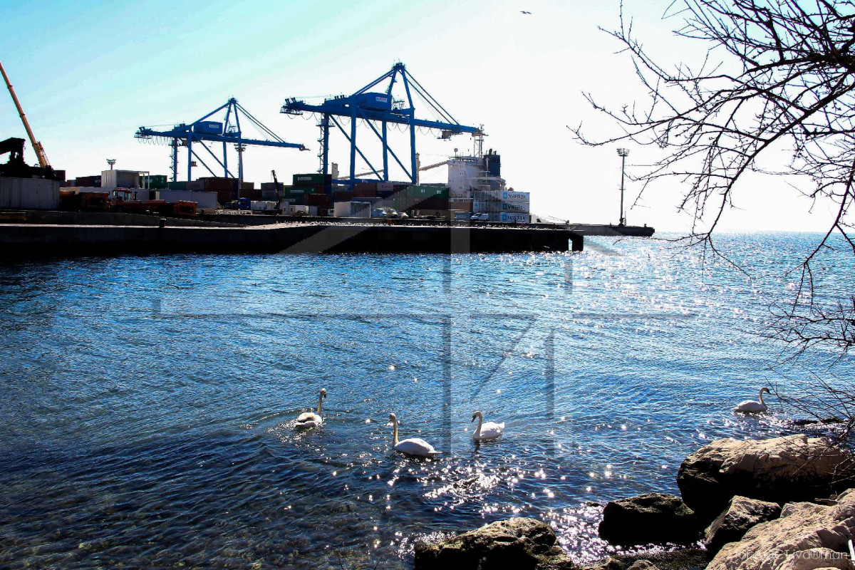 Terminal | Adriatic Gate Container Terminal